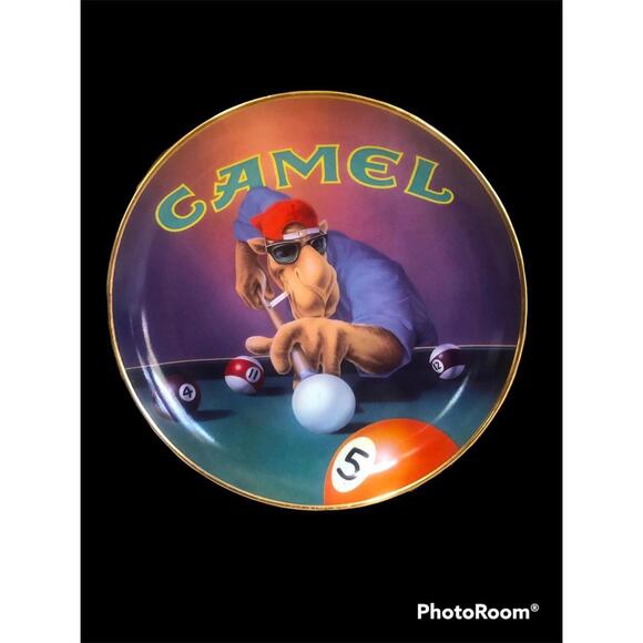 Camel | Other | Collector Plate Camel 8 | Poshmark